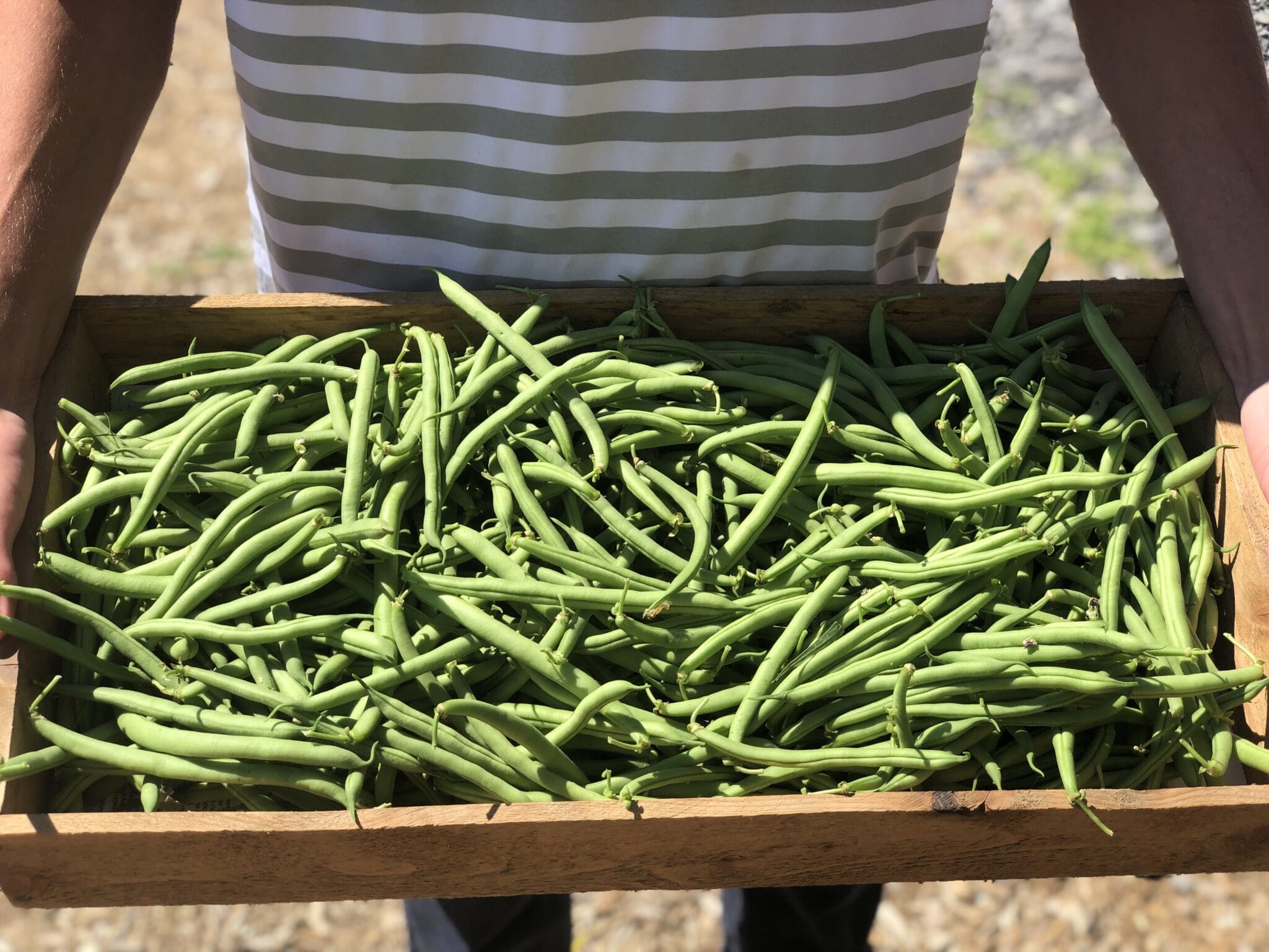 Jordan's Farm - Home