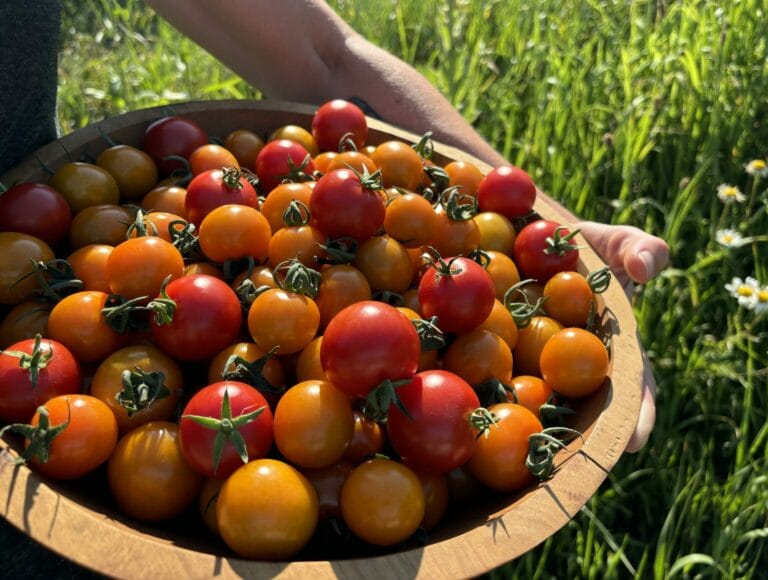 Jordan's Farm - Home