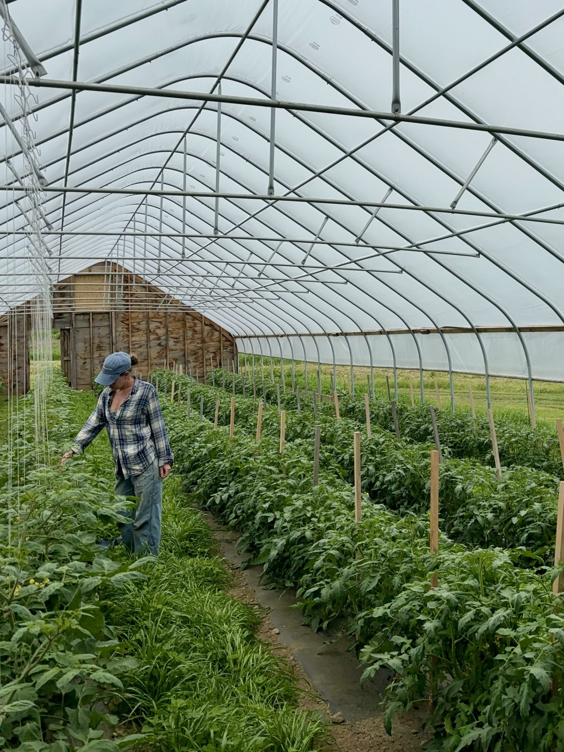 Jordan's Farm - About Us